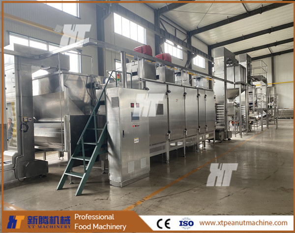PLC Control Continuous Nuts Roaster 800*600*1000mm For Roast Nuts
