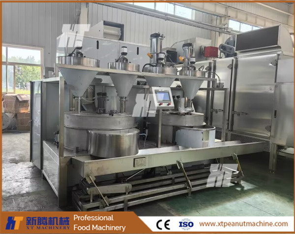 Automatic Flavored Coated Peanut Production Line Sugar / Liquid Coating Peanuts Making Machine